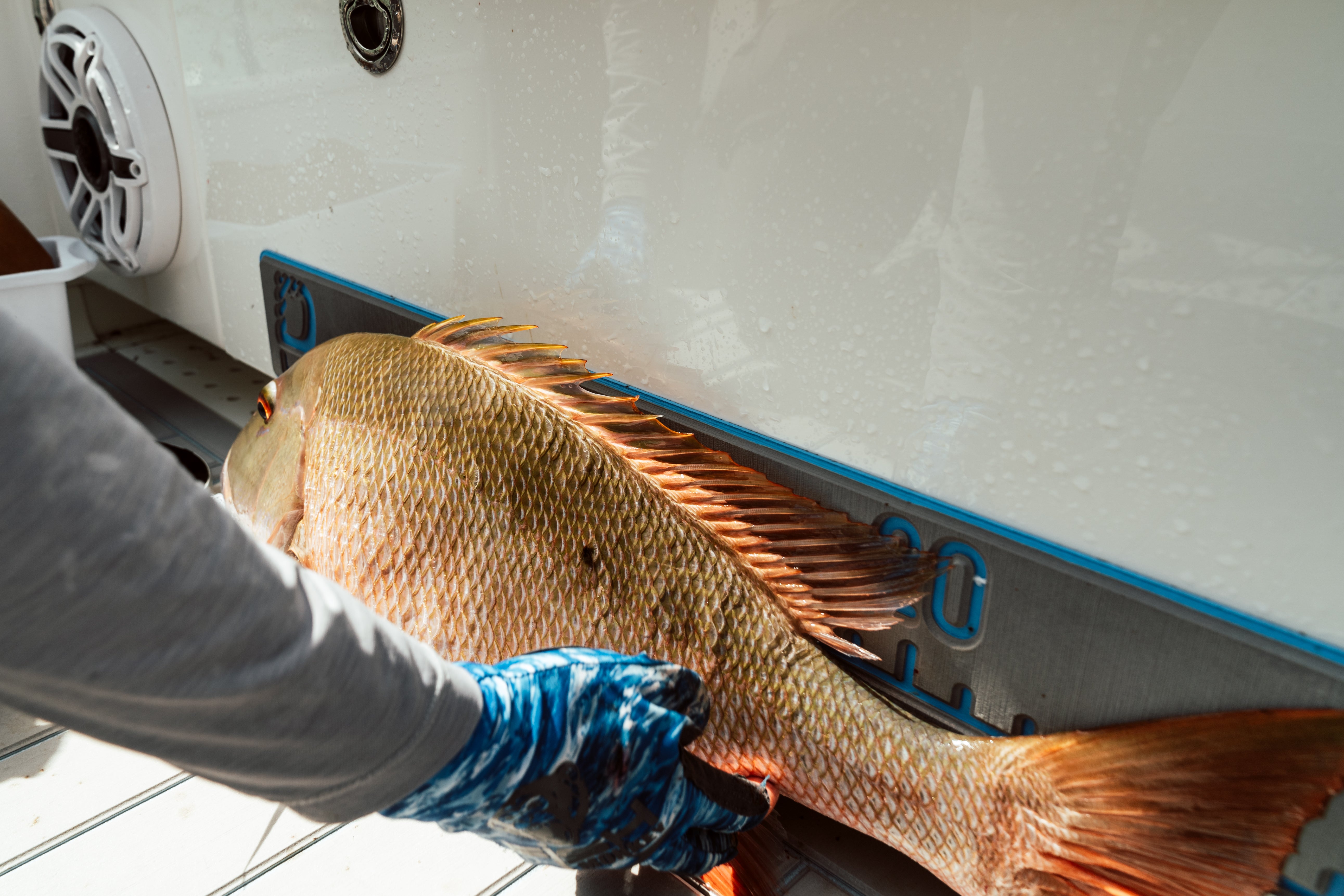 The Insider Guide to Fishing in Massachusetts – DEKIT