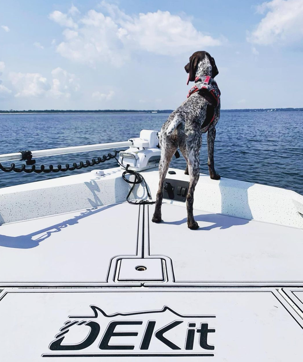 Boating with Dogs: 7 Tips for a Fun & Safe Adventure – DEKIT